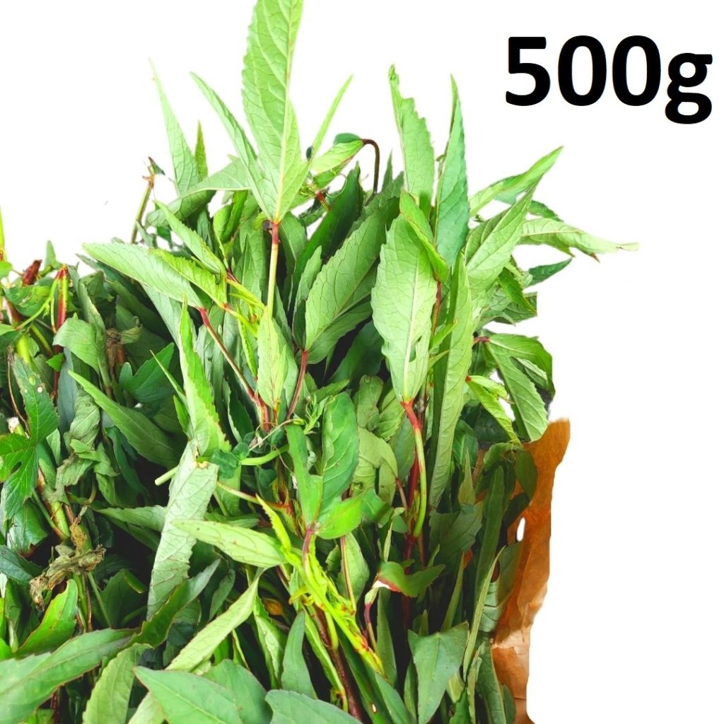 Sayur Kesum Myanmar 500g Daun Asam - LINQI Mini Market